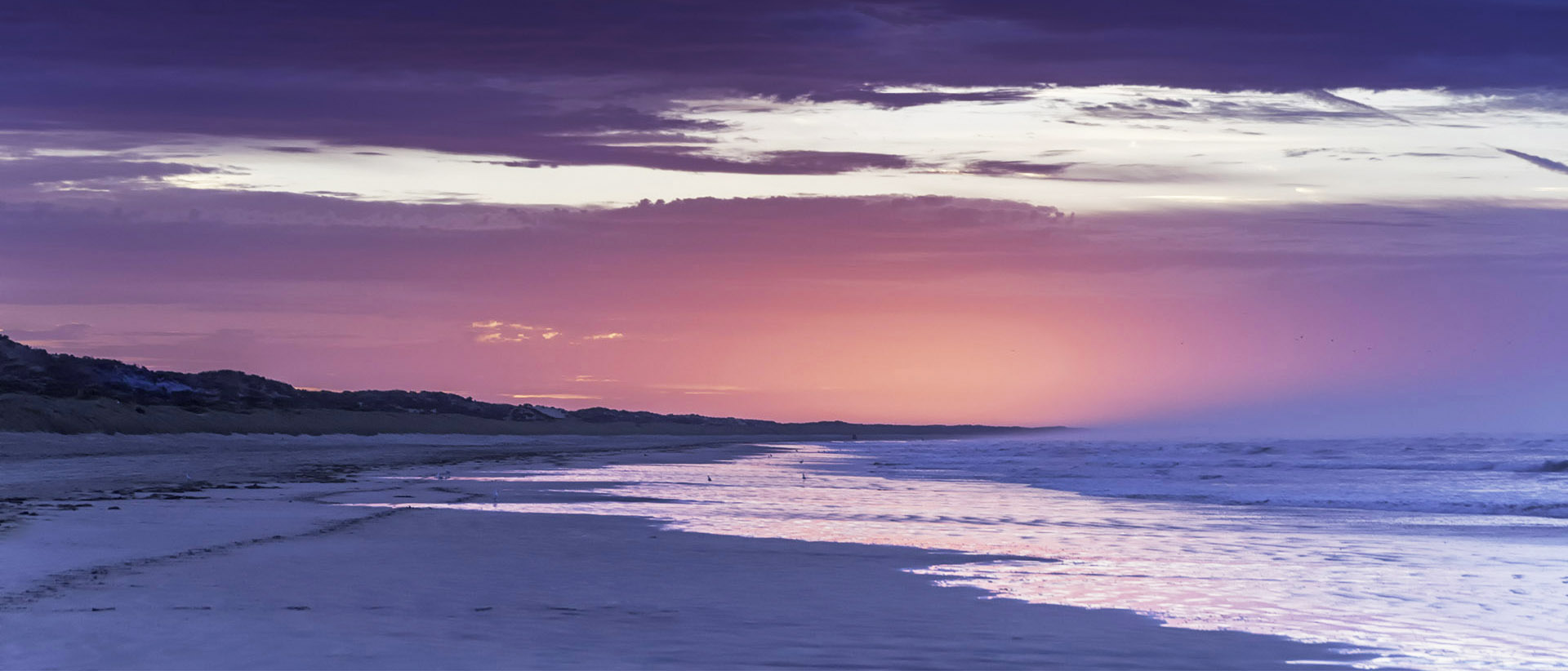 Gum Nut Photography | Photography and digital art